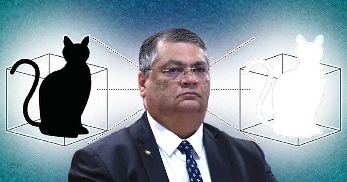 Flávio Dino, o pardo de Schrödinger - Disparada