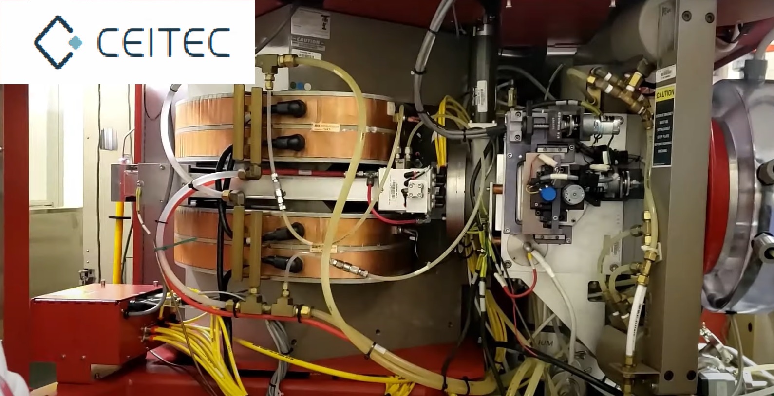 A Estatal CEITEC é realmente um caso incrível - Disparada